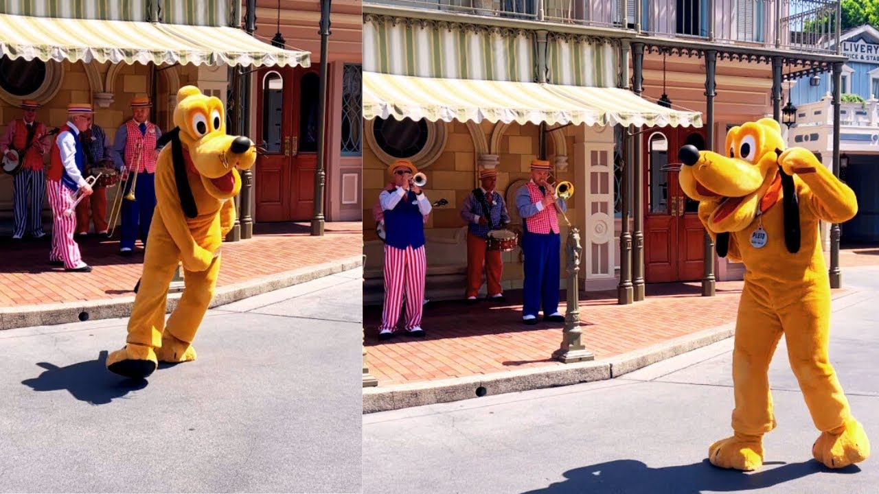 Pluto Dancing Mickey Mouse Friends at Disneyland Showcase 2024 | - YouTube