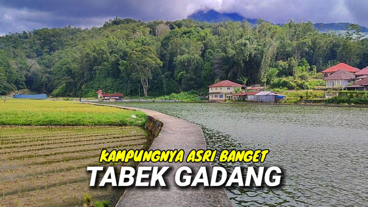 Perjalanan Menuju Tabek Gadang Nagari Sungai Tanang Kecamatan Banuhampu ...