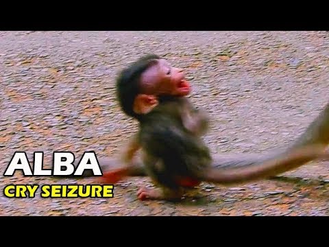 PSYCHOPATH OR NOT?? What happen with brain of Alba? Why baby Alba cry ...