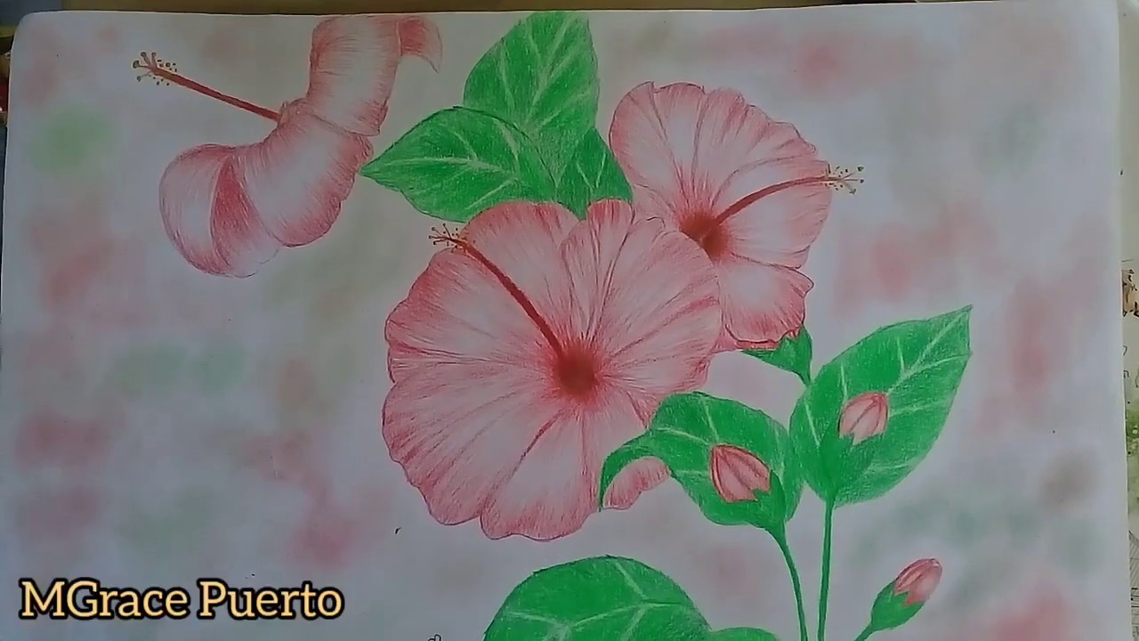 GUMAMELA FLOWER ART (daily art#9) - YouTube