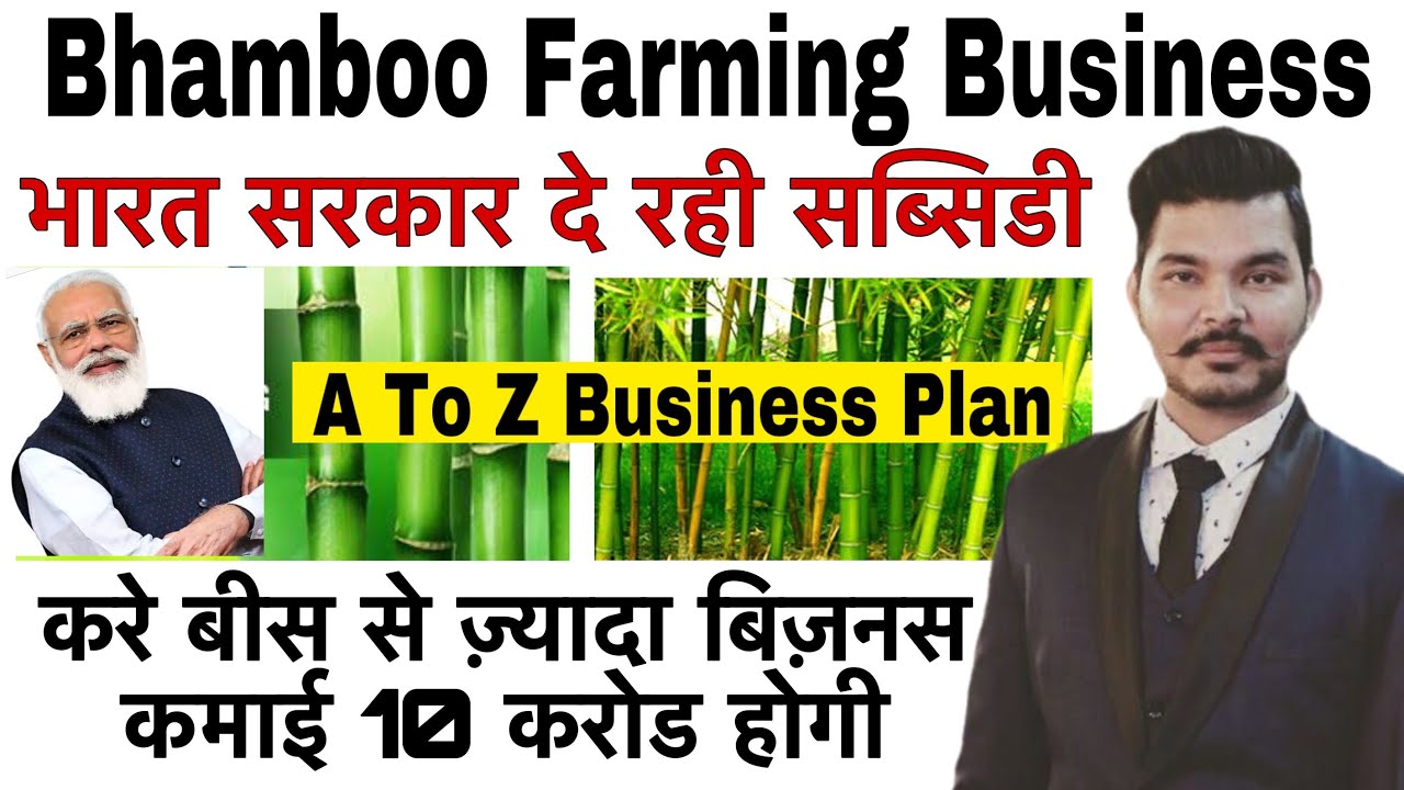 जो शूरू करेगा उसके मजे Bamboo Farming Business Ideas Pm National Bamboo ...