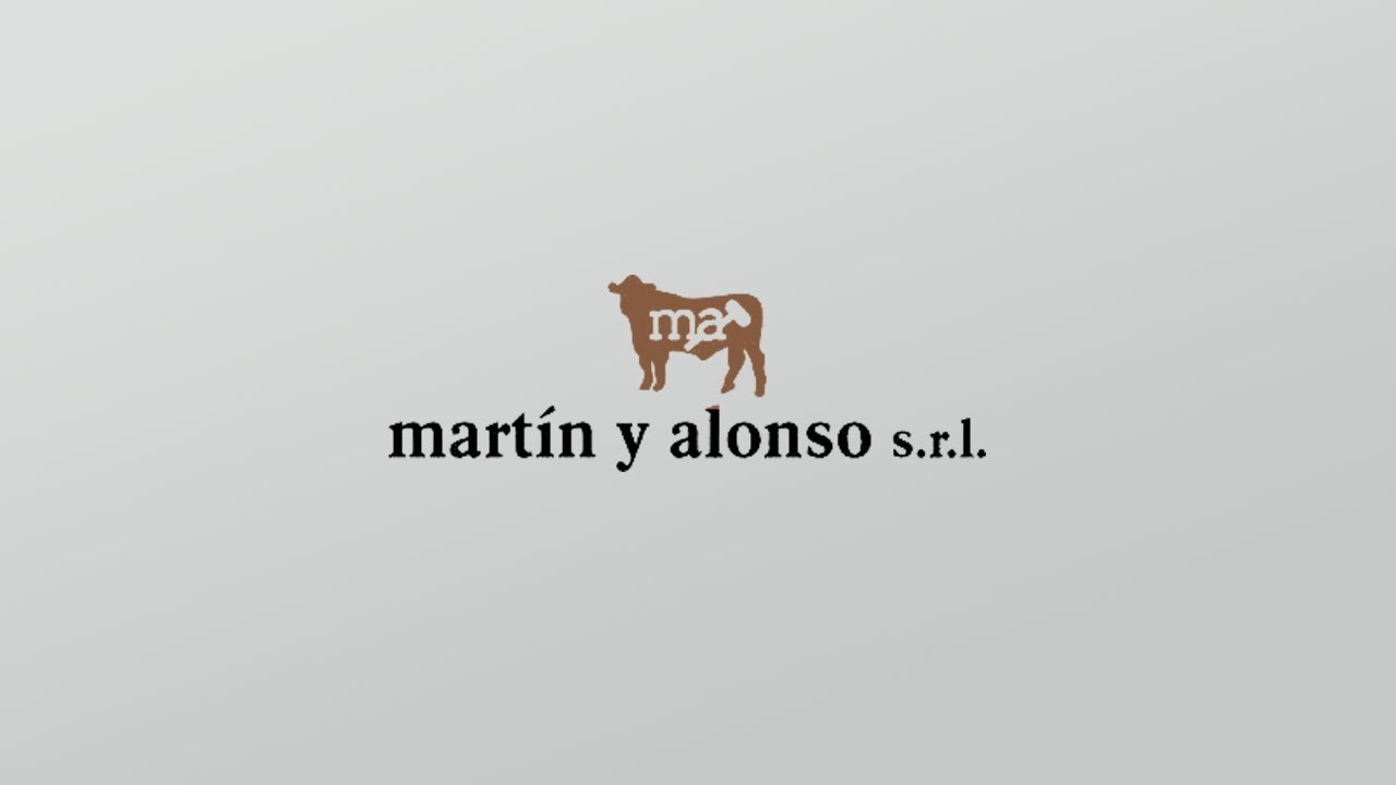 Remate Martin y Alonso - YouTube