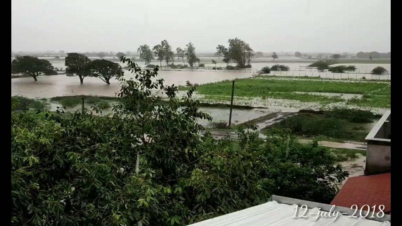 DAYADRA BHARUCH - YouTube