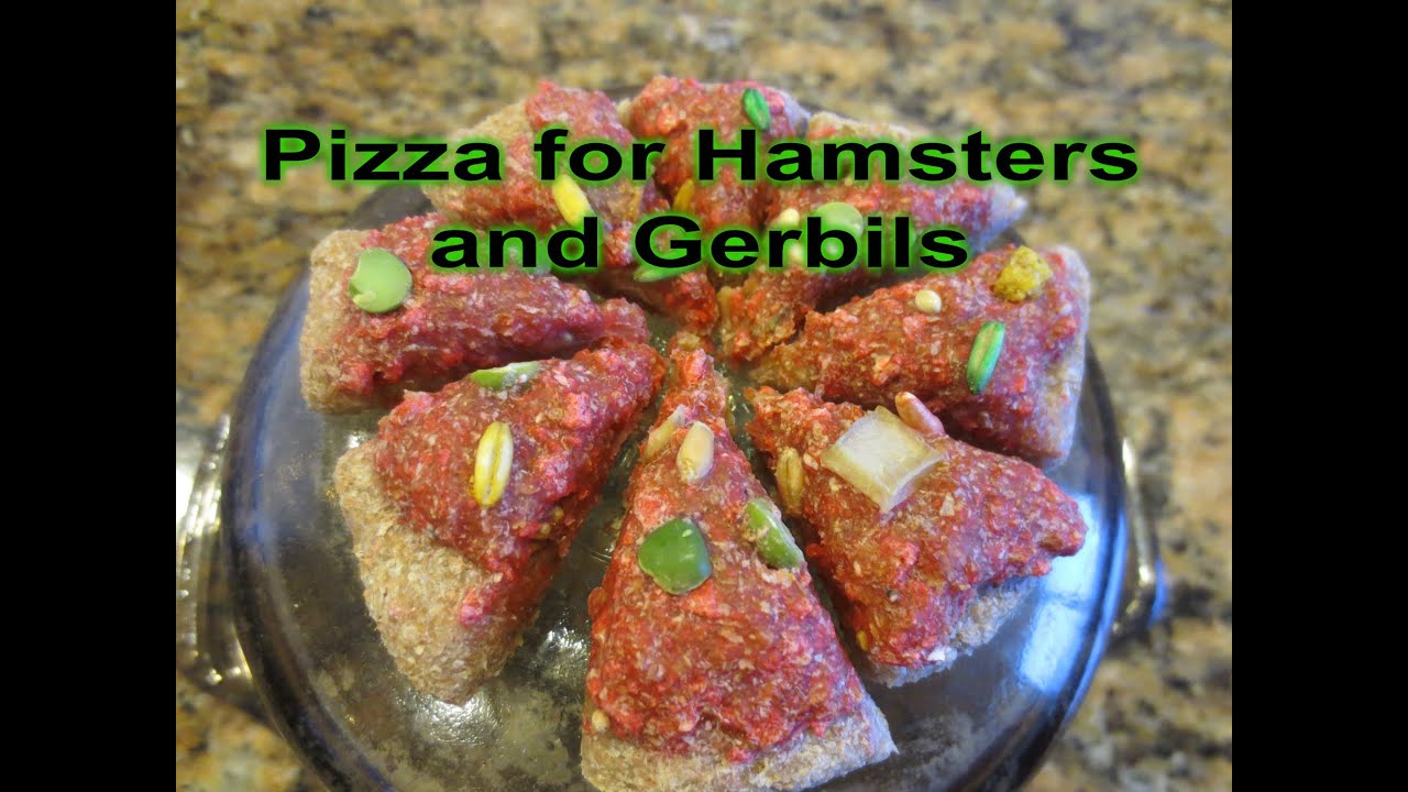 How to make a pizza for hamsters and gerbils - YouTube