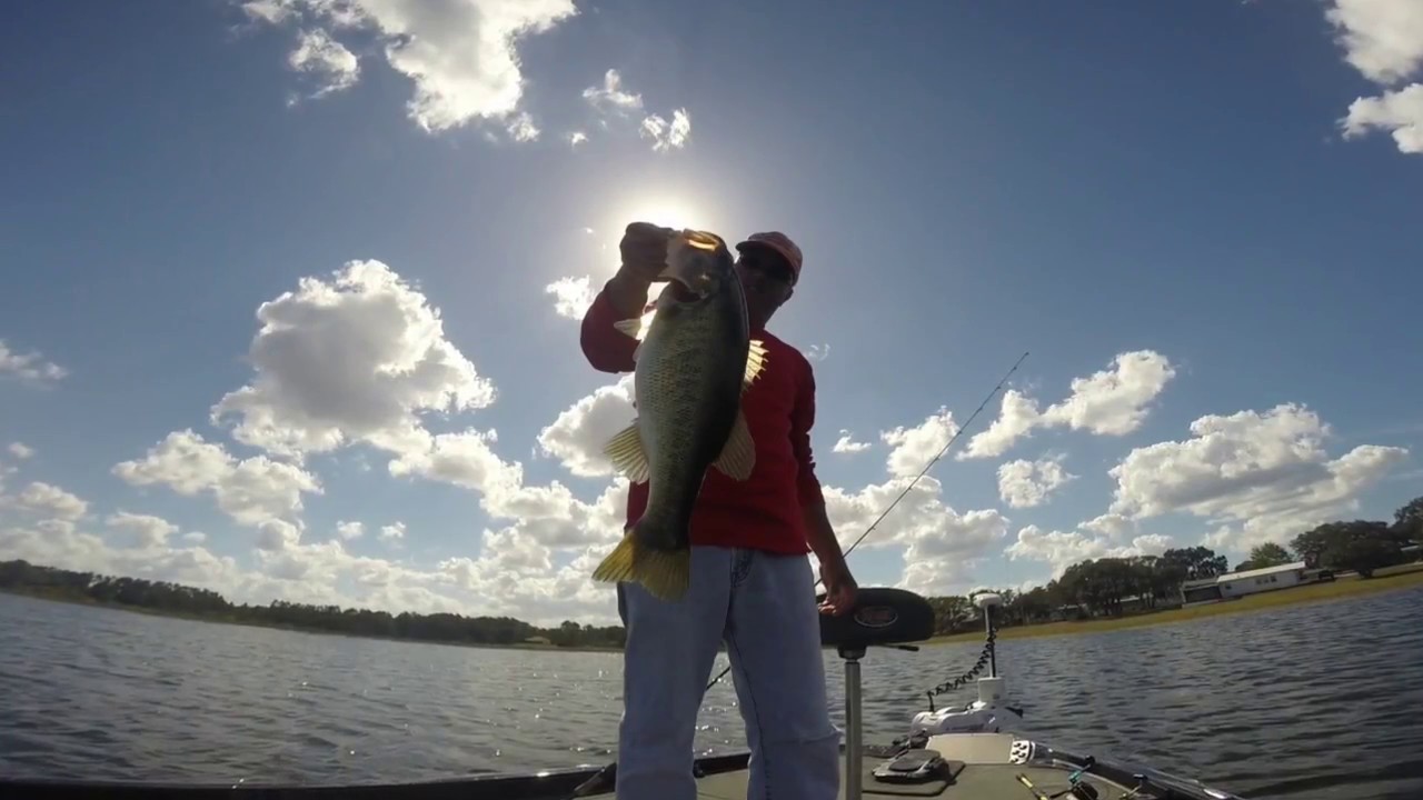 Shiner Fishing Tooke Lake Nov 5th - YouTube