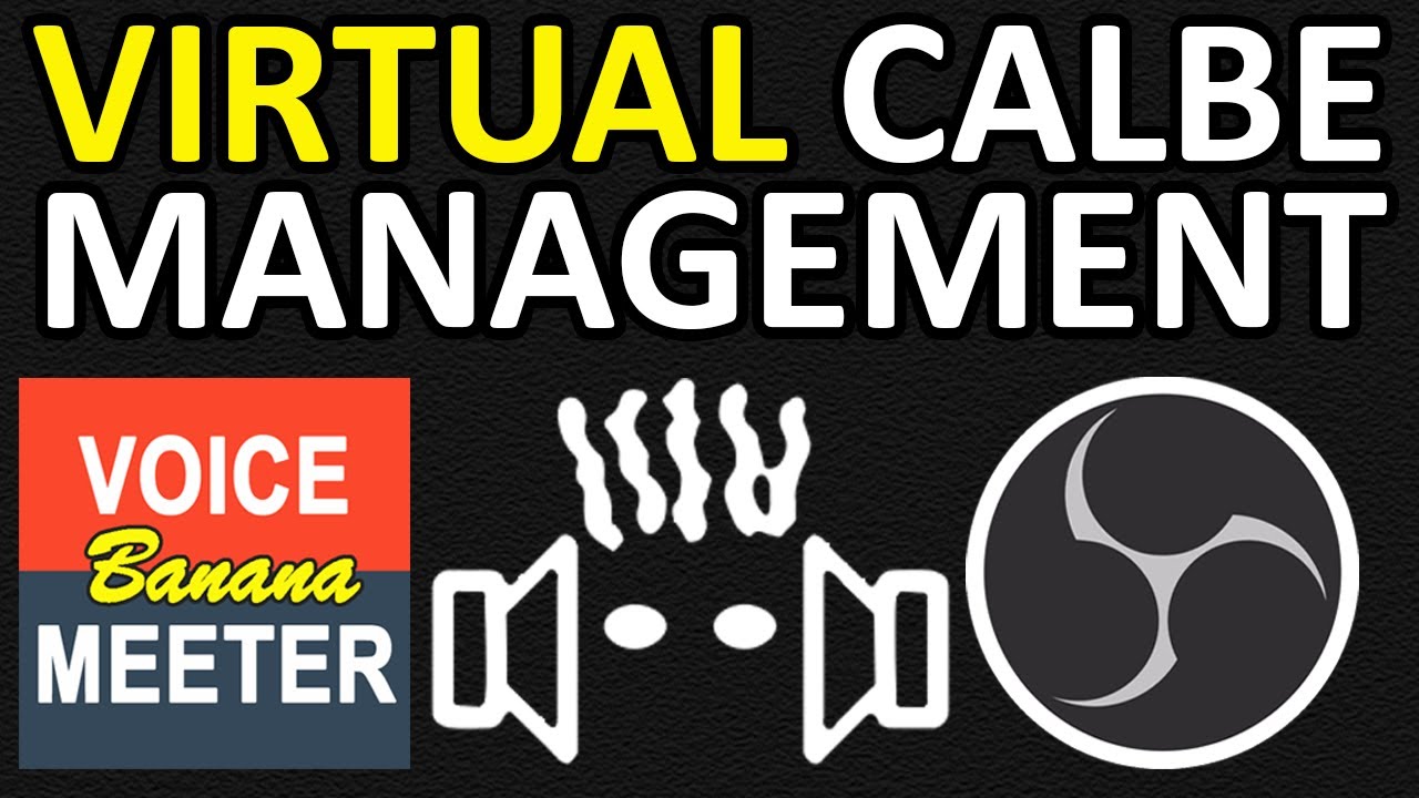 HOW TO: Organise Your VoiceMeeter Virtual Audio Interfaces in Windows ...