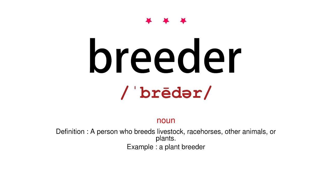 How to pronounce breeder - Vocab Today - YouTube