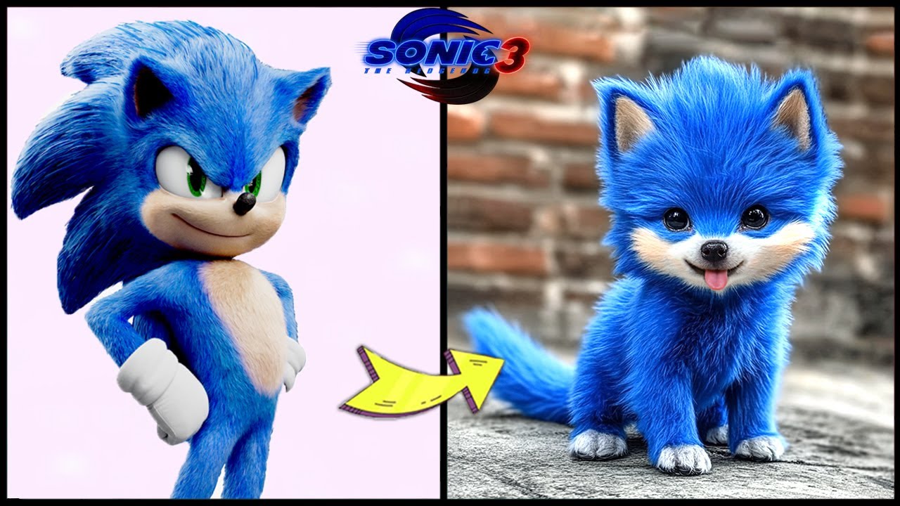 Sonic the Hedgehog 3 If They Were Dog In Real Life! - YouTube
