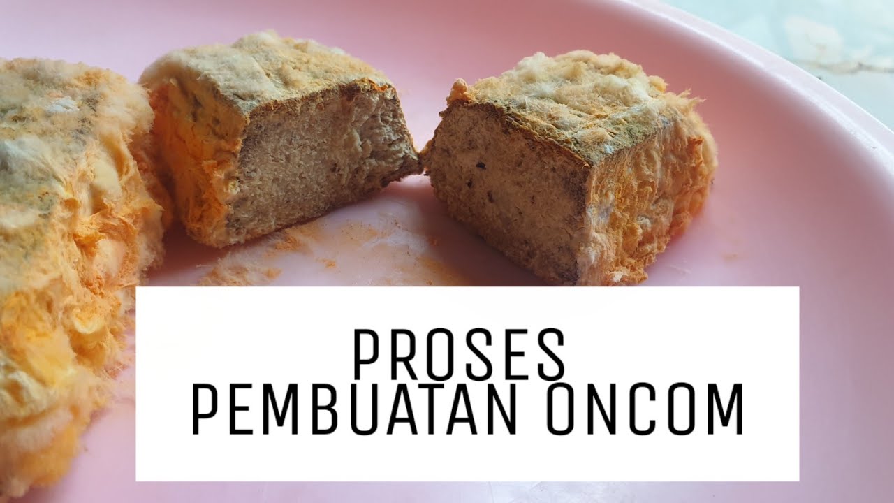 PROSES PEMBUATAN ONCOM - TUGAS BIOTEKNOLOGI PANGAN - YouTube