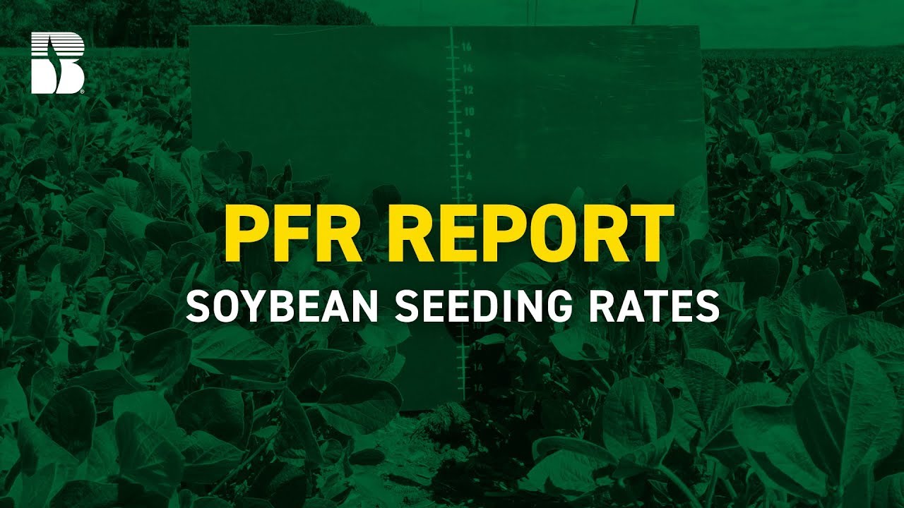 Soybean Seeding Rates - Beck’s PFR Report - YouTube