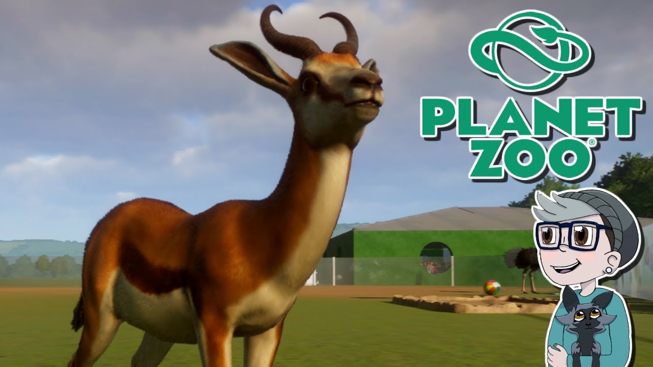 OUR WOLVES ESCAPED!!! Kinda : Planet Zoo : Episode 5 - YouTube