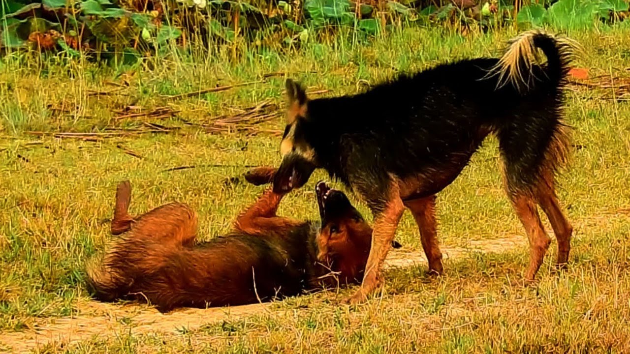 Sweet time went they meeting many style love very much ker ker and ...