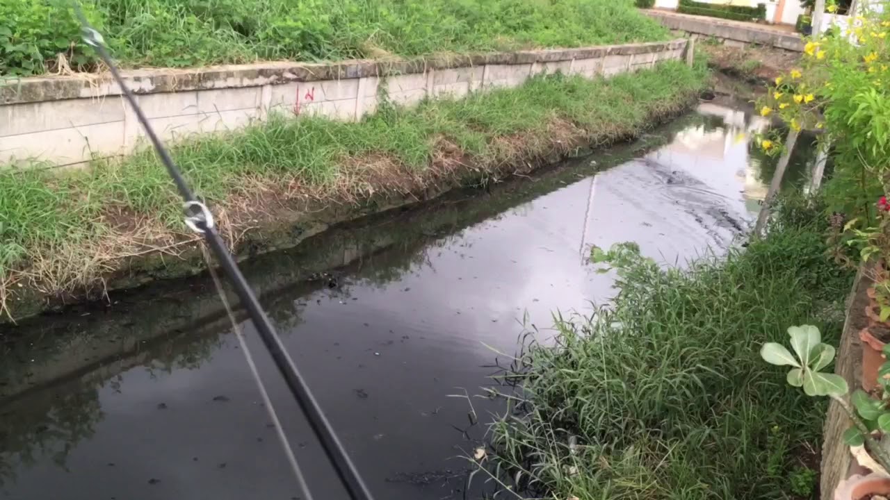 Ju Fishing EP.21 : ฝนก็จะมาปลาก็จะตก - YouTube