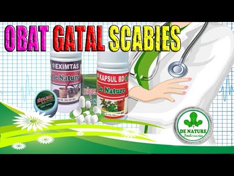 Obat Gatal Scabies Paling Ampuh Di Apotik