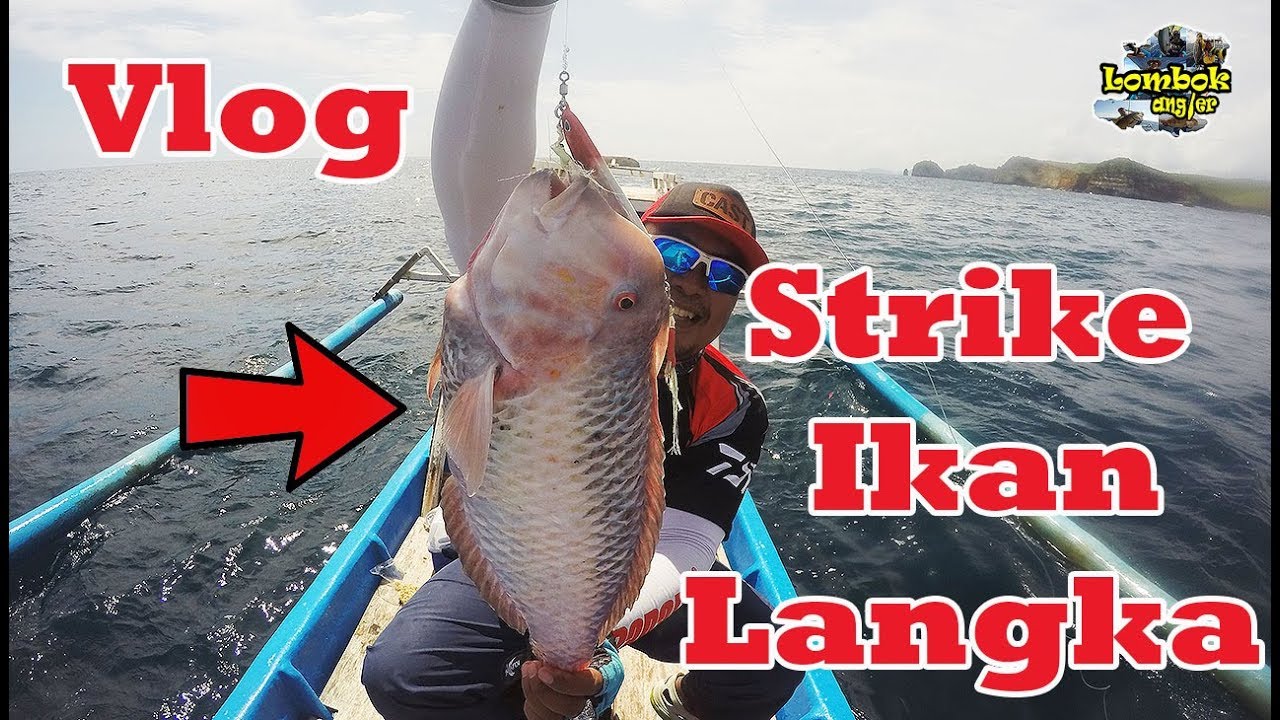 Mancing Di Laut Mandalika Dapat Ikan Langka | Mancing Mania Terbaru ...