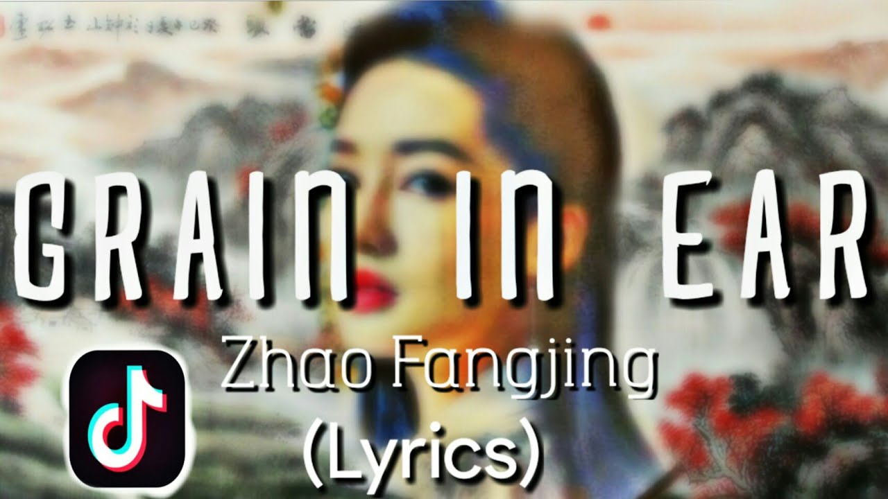 Grain In Ear - Zhao Fangjing 《芒种》(lyrics) TIKTOK2021 - YouTube