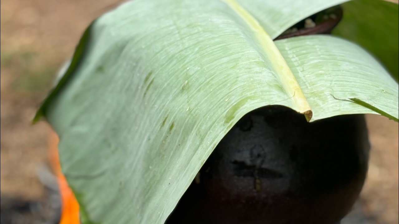 Soorya ponkala and kodiattu for our ulsavam. Ini ulsava nalukal#ulsavam ...