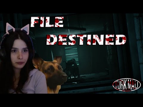 TUANNA KOMİSER | File Destined | Tam Özet Funny ( Türk yapımı )