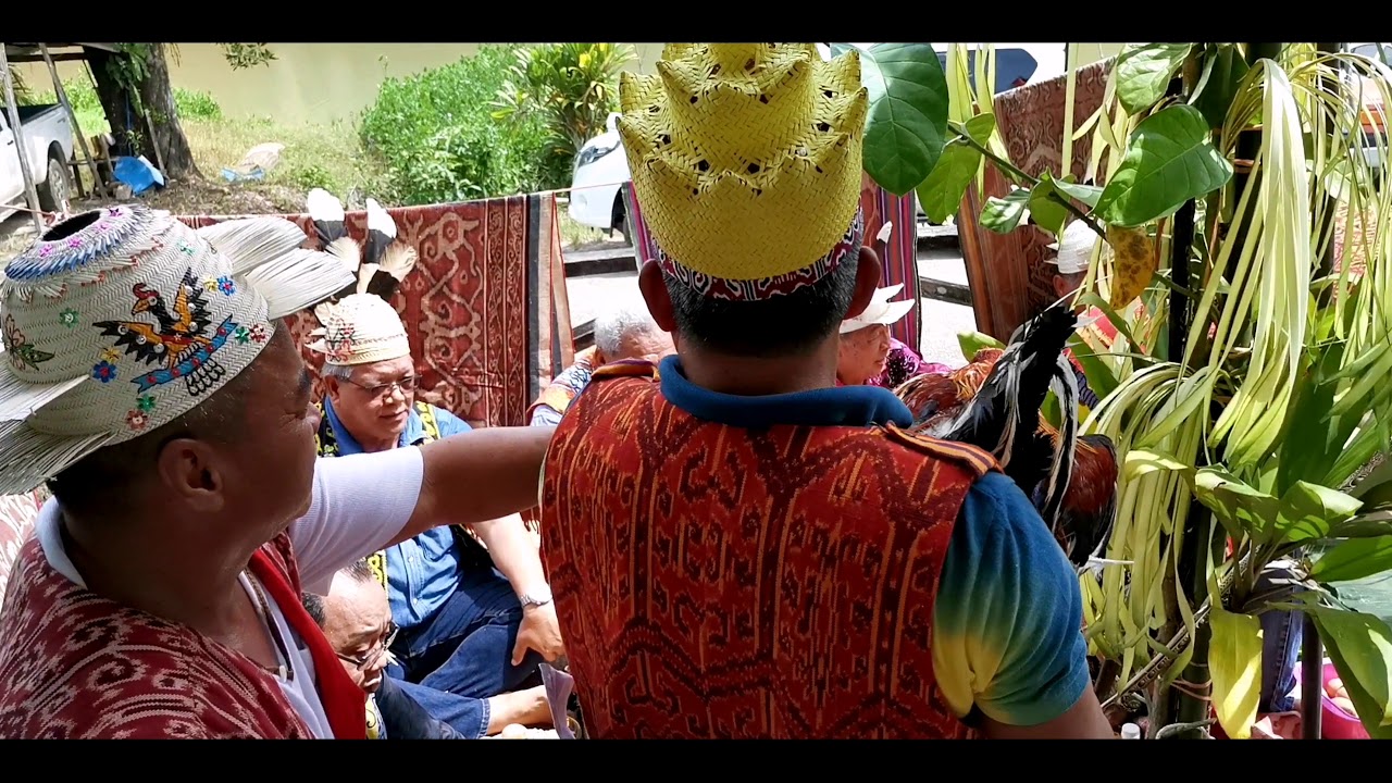 Gawai Sandau Ari & Ngetas Ranyai Begulai Enggau YB Chuk Pai Ugon ...