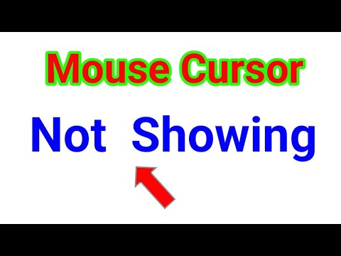 Laptop Mouse Cursor not Showing | Computer me Mouse Pointer Nahi Aa ...