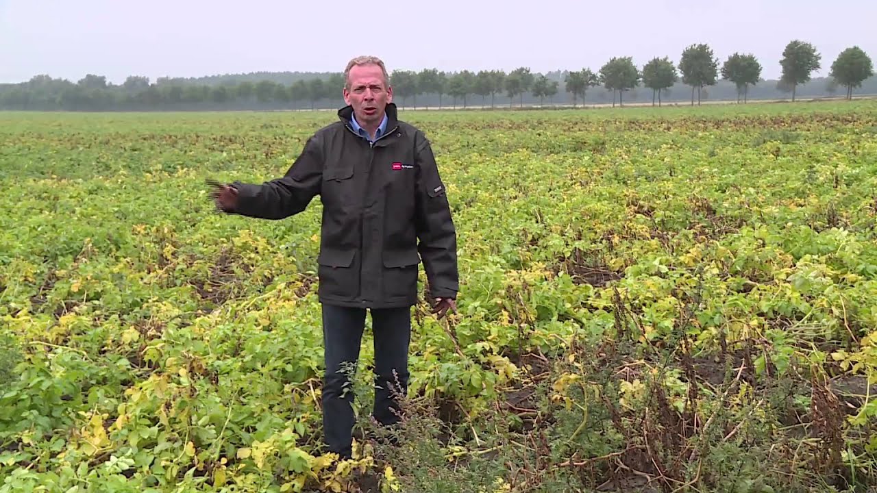 Jean Heybroek item Doe Maar Duurzaam! RTL 7 S03E02 10 januari - YouTube
