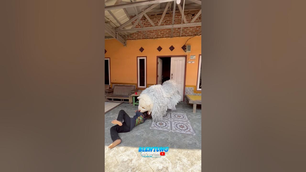 Bocil ff lewat depan can macanan langsung di makan can macanan - YouTube