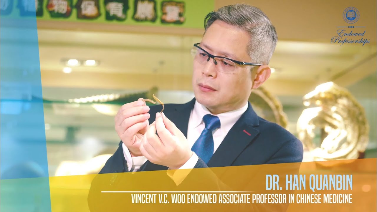 Video of Dr. Han Quanbin, Vincent V.C. Woo Endowed Associate Professor ...