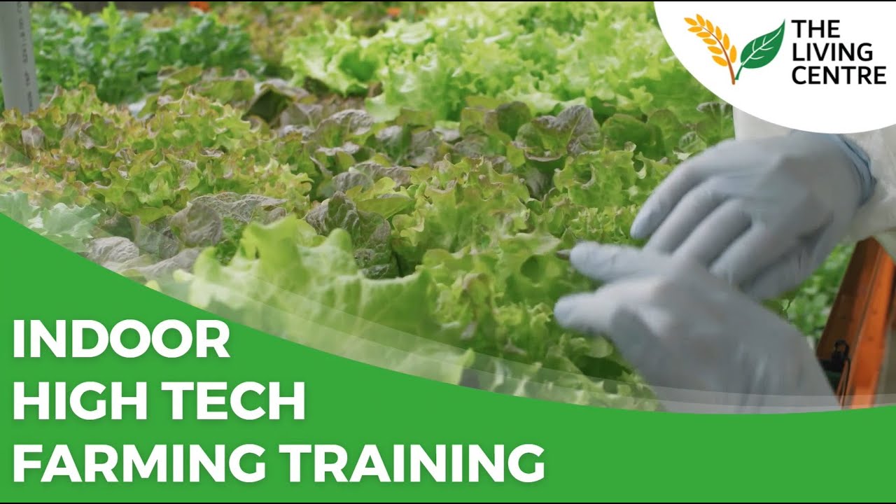 Indoor High Tech Farming Training Course - YouTube