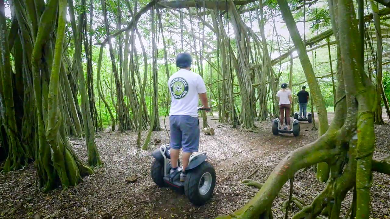 Beach Segway Tour @ Turtle Bay Resort - YouTube