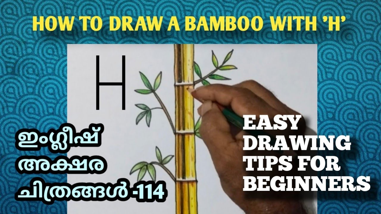 How to draw a Bamboo easy step by step / #mohantanur #easydrawing - YouTube