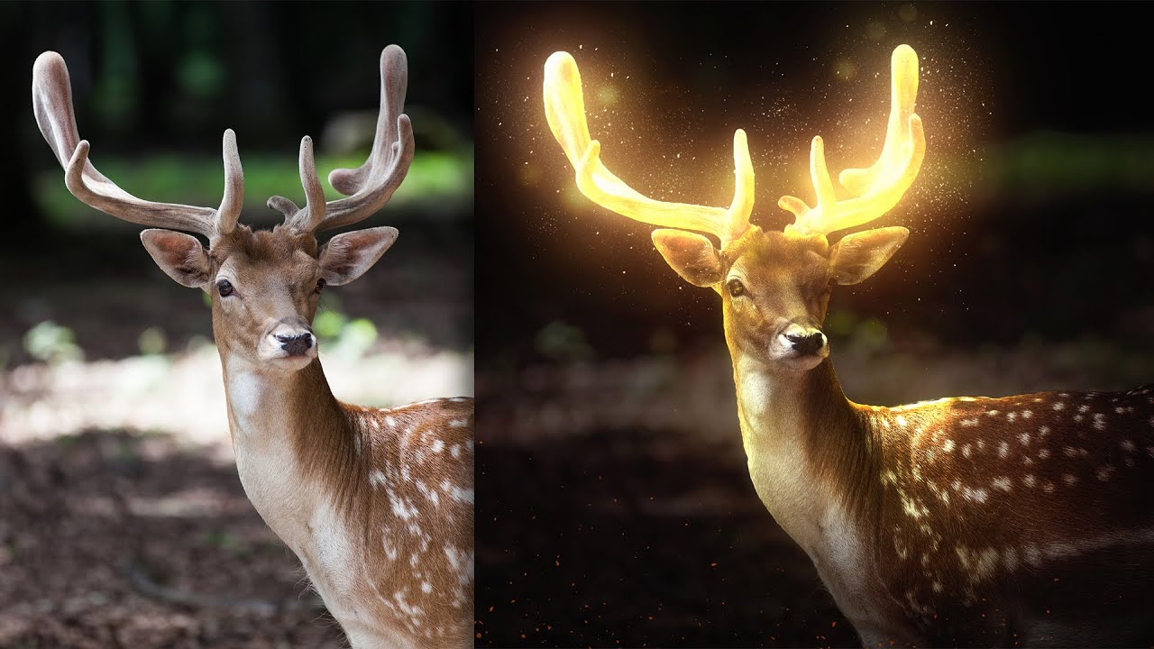 Glowing Deer Photo Manipulation Effect - Timelapse Speed Art - YouTube