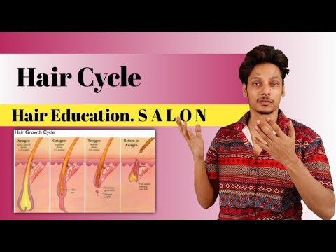 Hair Cycle | Hair Education . Hair Dresser Class . Hair Growth and Hair ...