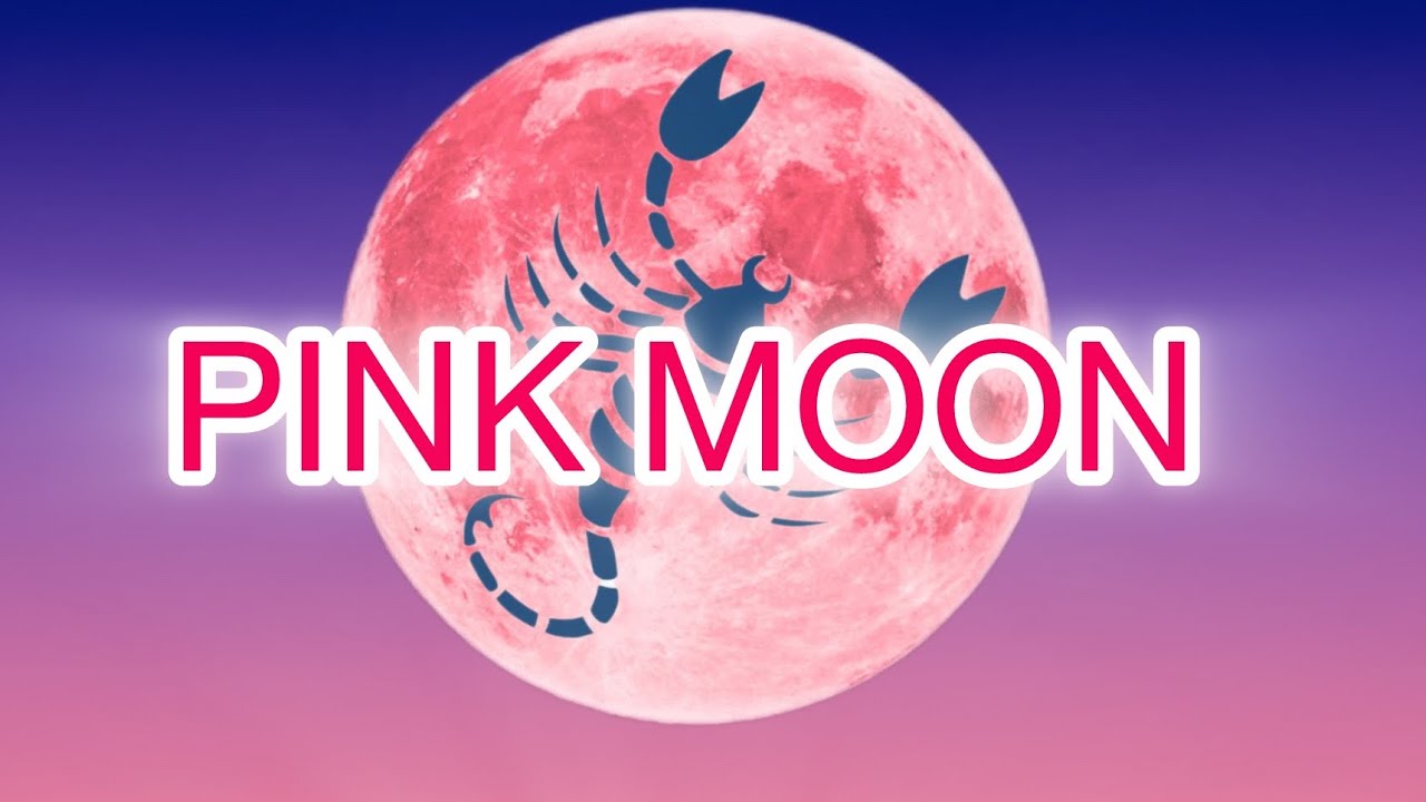Pink Moon April 23, 2024 7:49pm EDT | All You Need To Know | #pinkmoon ...