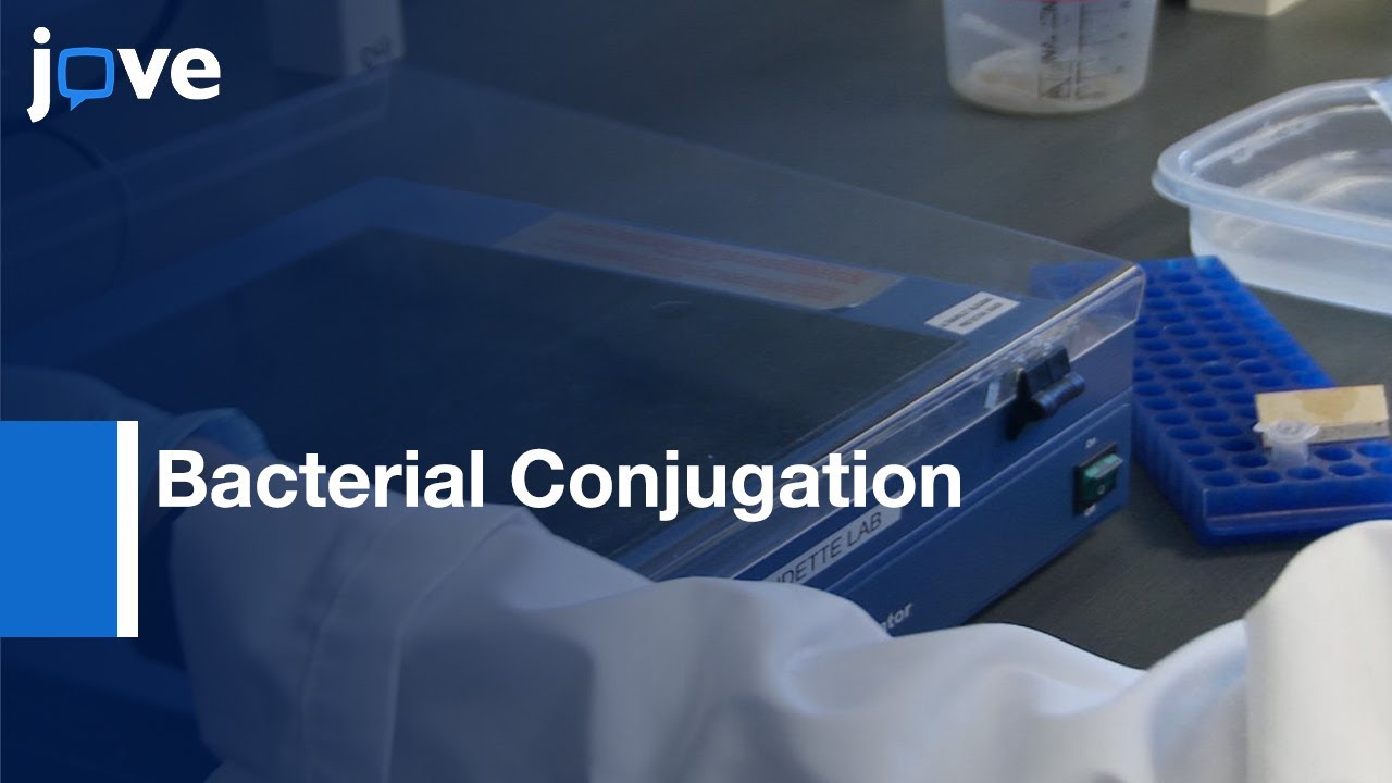 Bacterial Conjugation Transfer Proteins Sequence Specific Analysis | Protocol Preview - YouTube