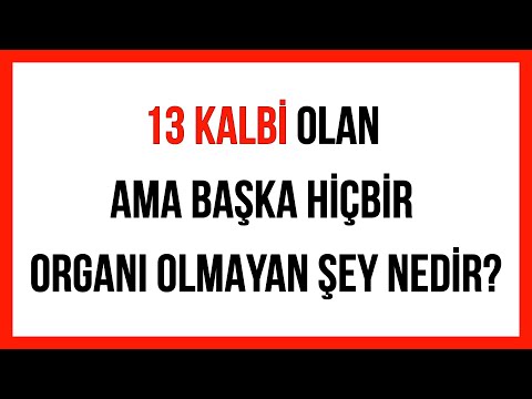 Aklınızı Meşgul Edecek 37 Karmaşık Bilmece