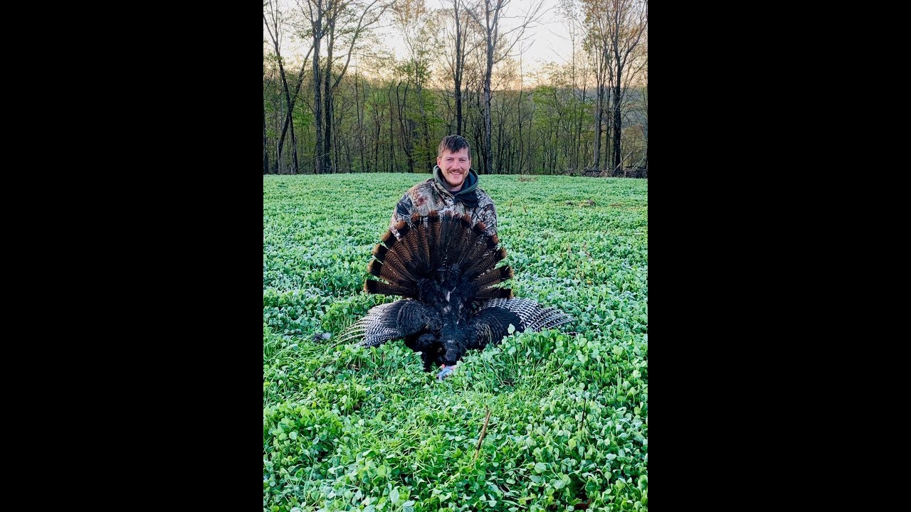 Spring Turkey 2020 - Pike Co Ohio - YouTube