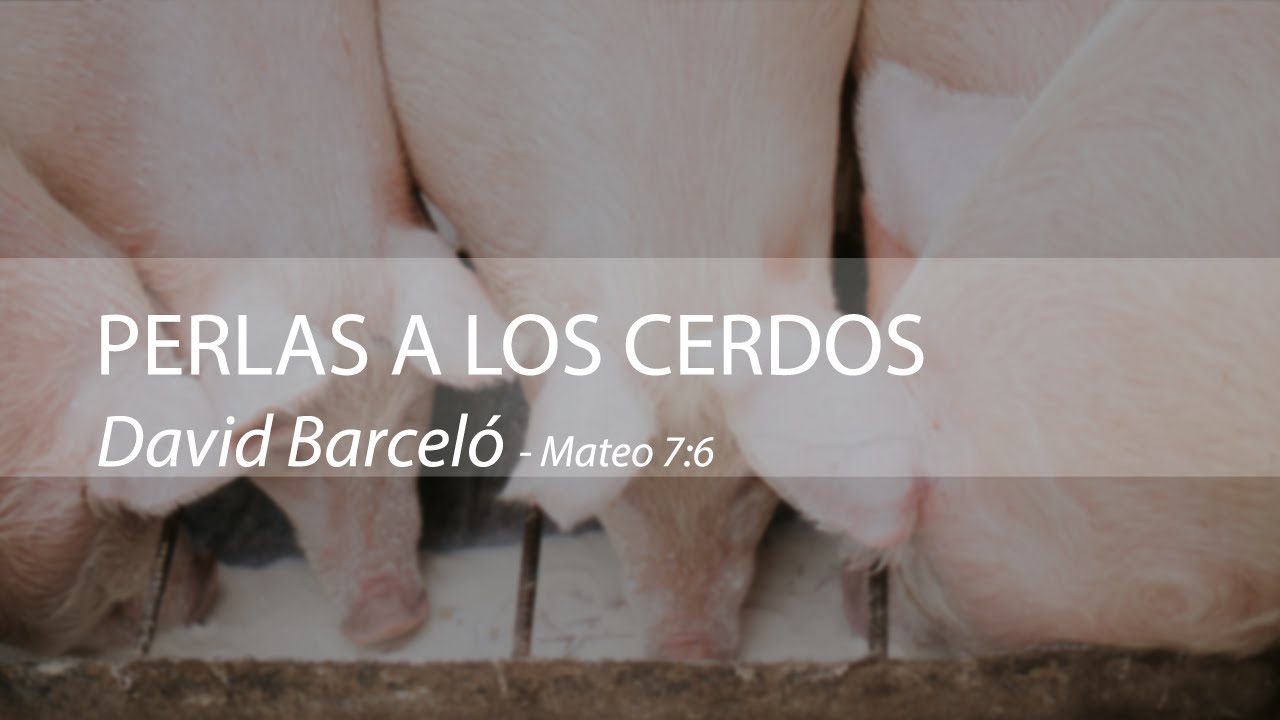 24. Perlas a los cerdos - David Barceló - YouTube
