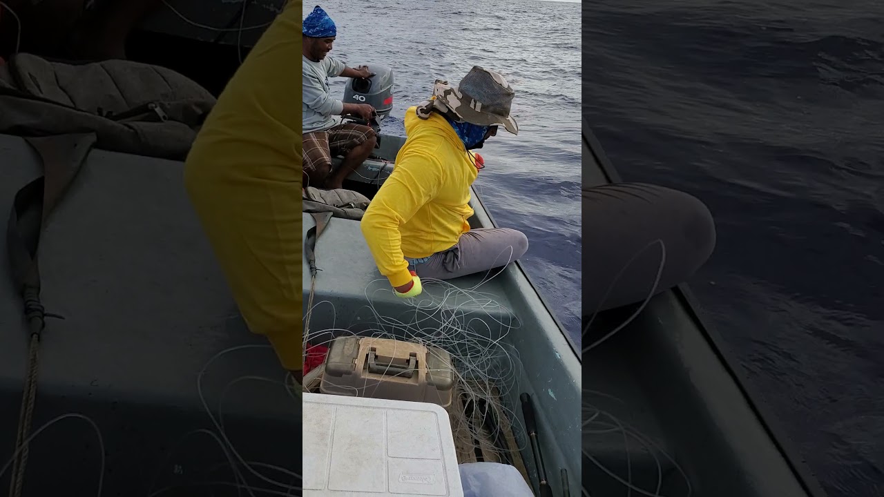 Hand line fishing, Yellow fin tuna in Chuuk. - YouTube