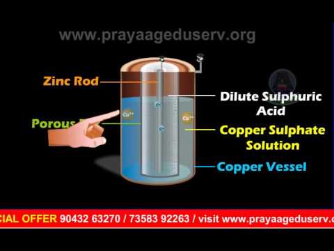 Daniel Cell - YouTube