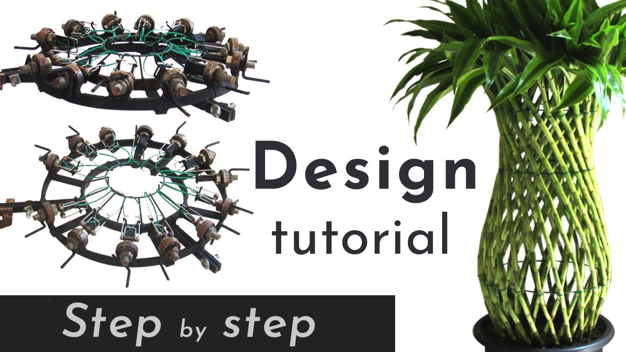 Lucky bamboo (Dracaena sanderiana) design - Lucky bamboo Feng Shui - Design tutorial - YouTube
