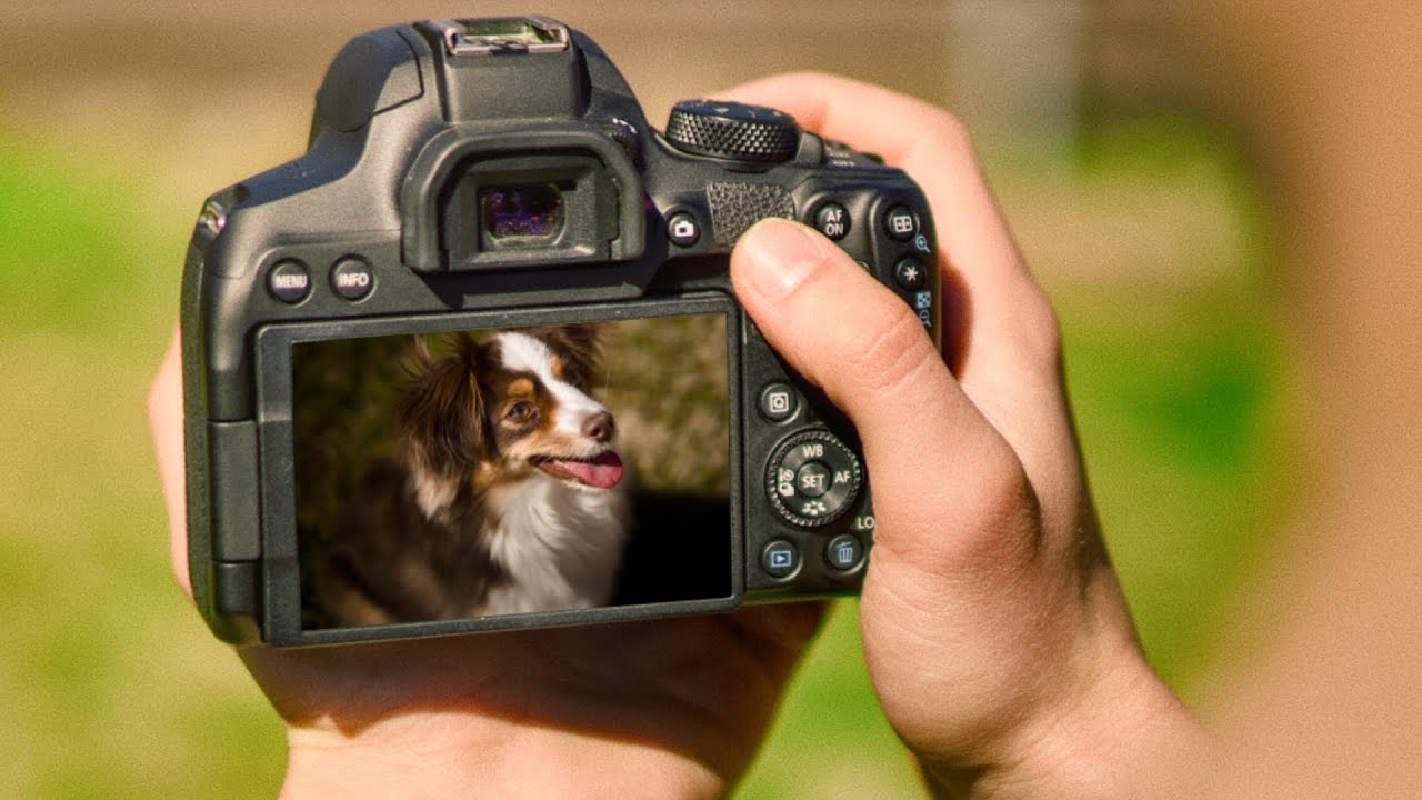 STOP Taking Bad Photos! Change These Camera Settings NOW! - YouTube