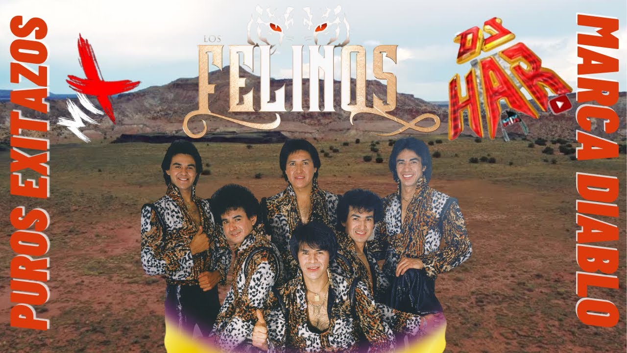LOS FELINOS PUROS EXITAZOS MARCA DIABLO, CORRIDITAS PARA BAILAR ...