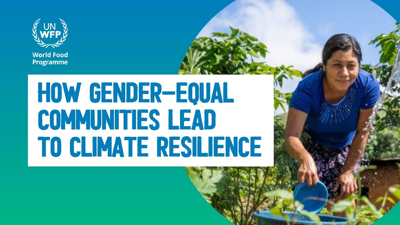 How gender-equal communities lead to climate resilience - YouTube