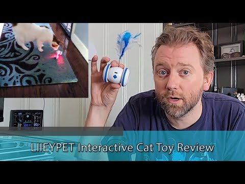 BEST TOY TO EXERCISE YOUR CAT - Interactive Cat Toy by LIIEYPET Review