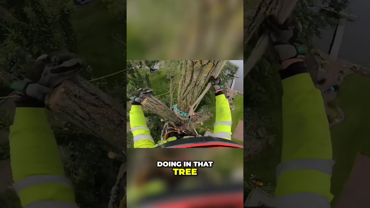 Synthetic Cabling & Chafe Sleeves – Game of Trees