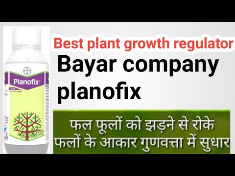 Bayar planofix plant growth regulator।।Alpha Napthyl Acetic Acid 4.5% ...