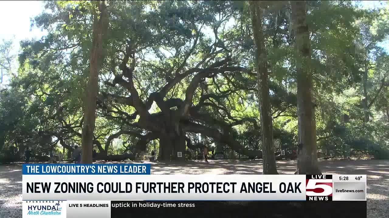 VIDEO: ‘Back to its roots’ New zoning to protect historic Angel Oak ...