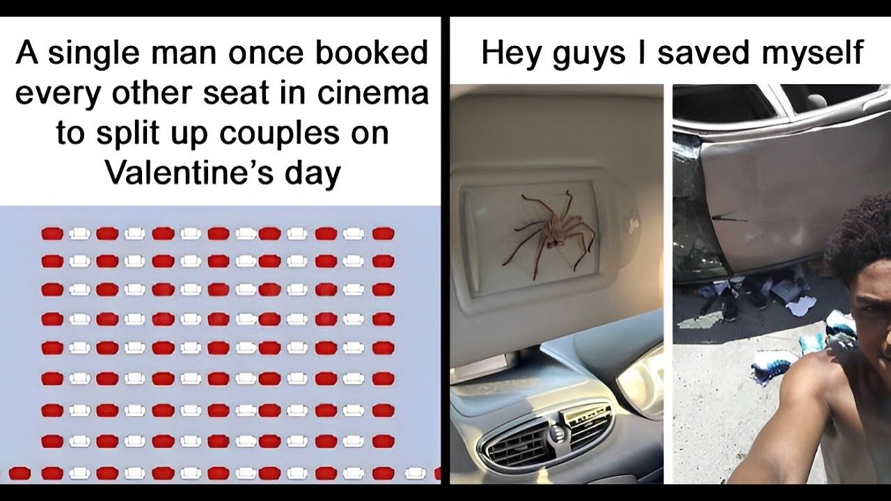 Dive Into This Collection Of Ridiculous And Funny Memes - YouTube