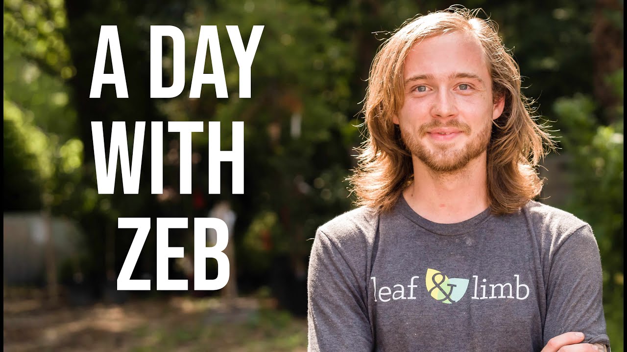 Inside Look: A Day in the Life of an Arborist // Behind the Scenes at ...