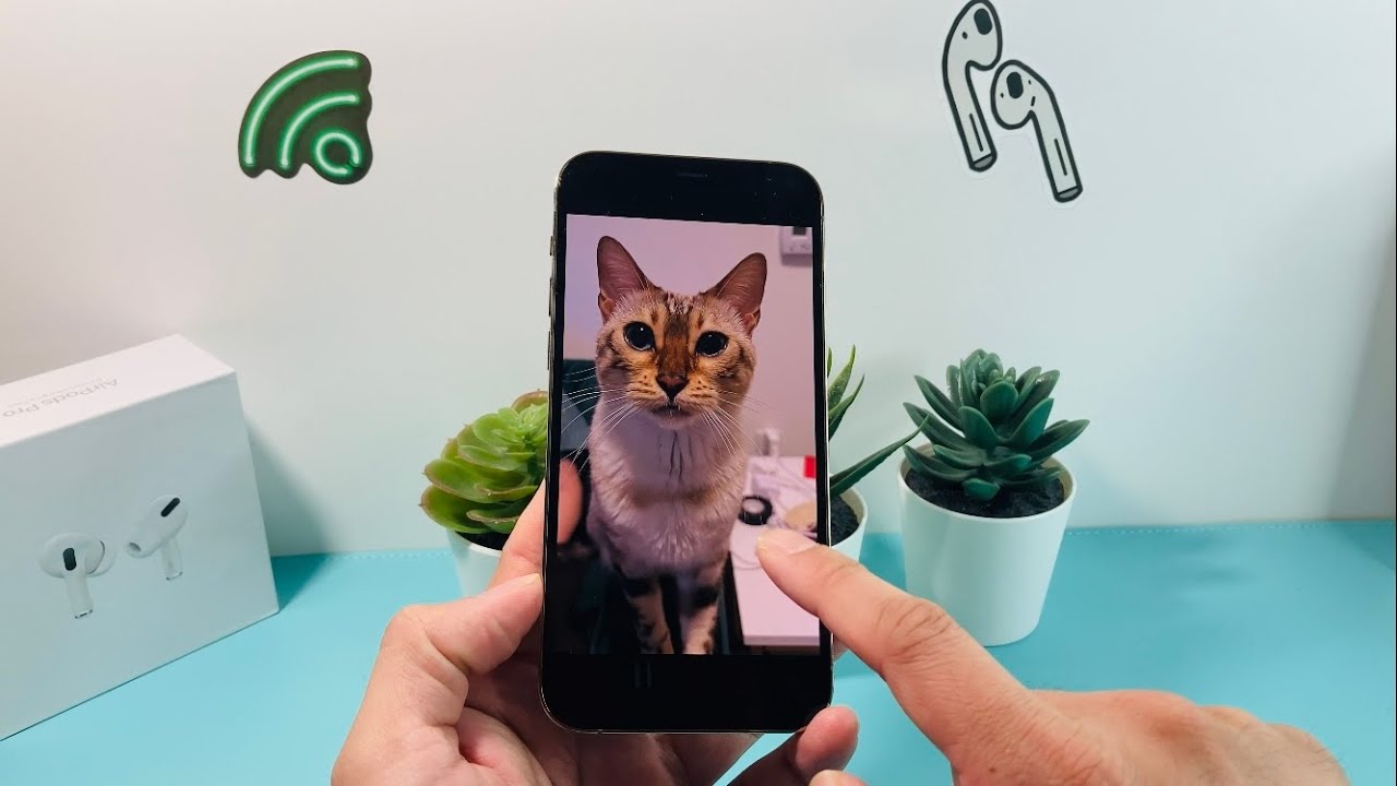 iPhone Can Identify Type of Plants and Animals! Here’s How - YouTube